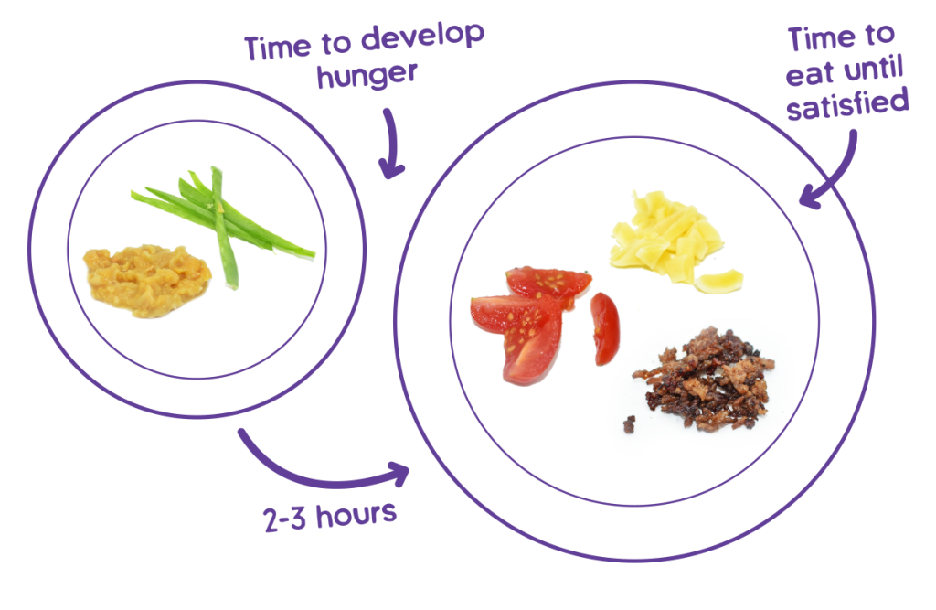 Increasing mealtimes and food variety - Picnic Project
