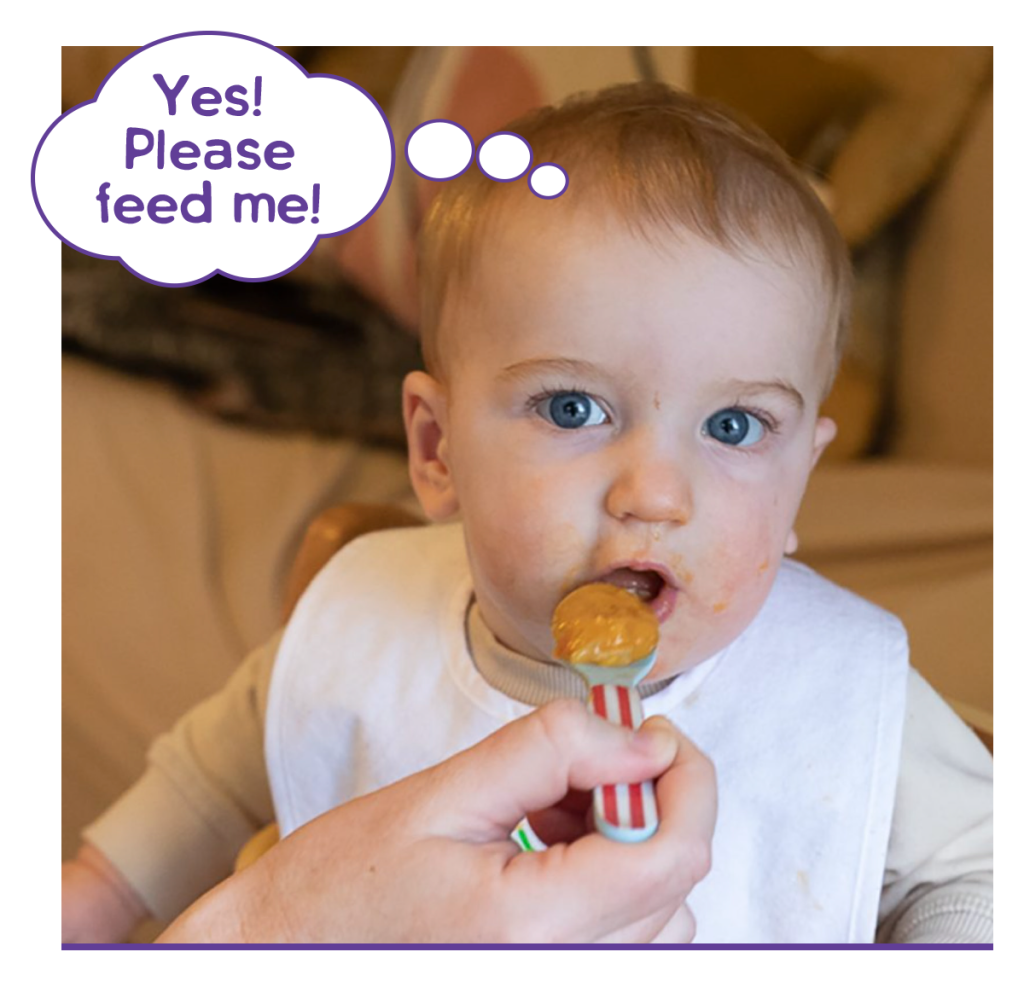 How to feed: Spoon and self-feeding - Picnic Project