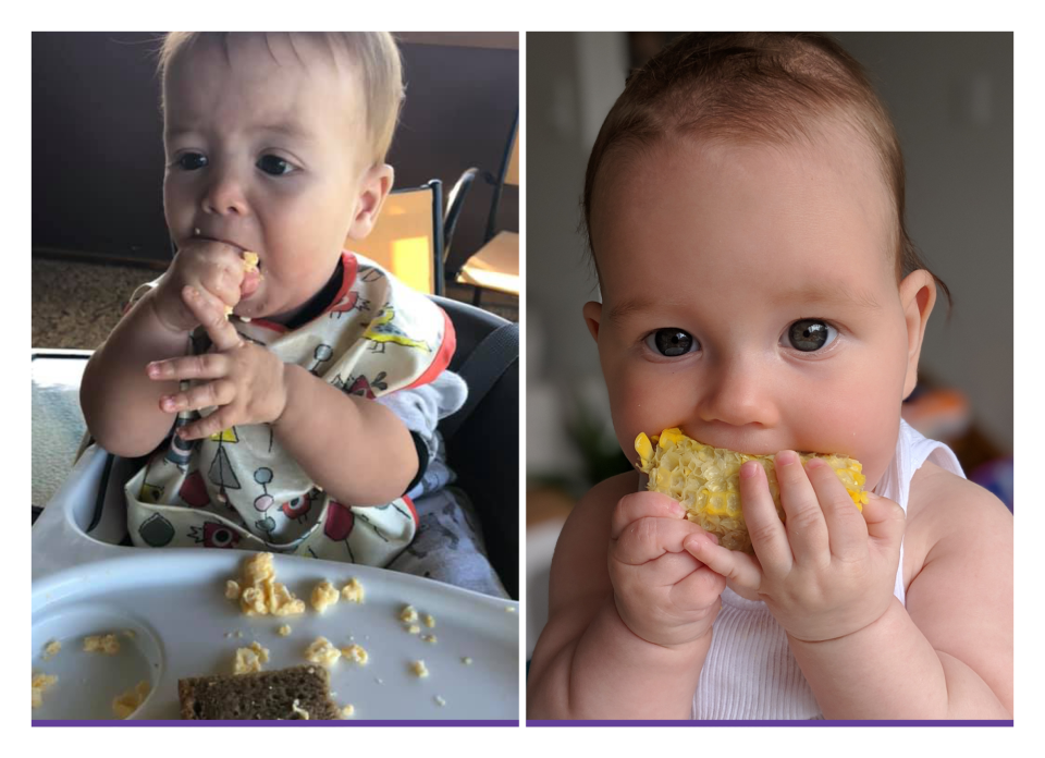 How to feed: Feeding roles - Picnic Project